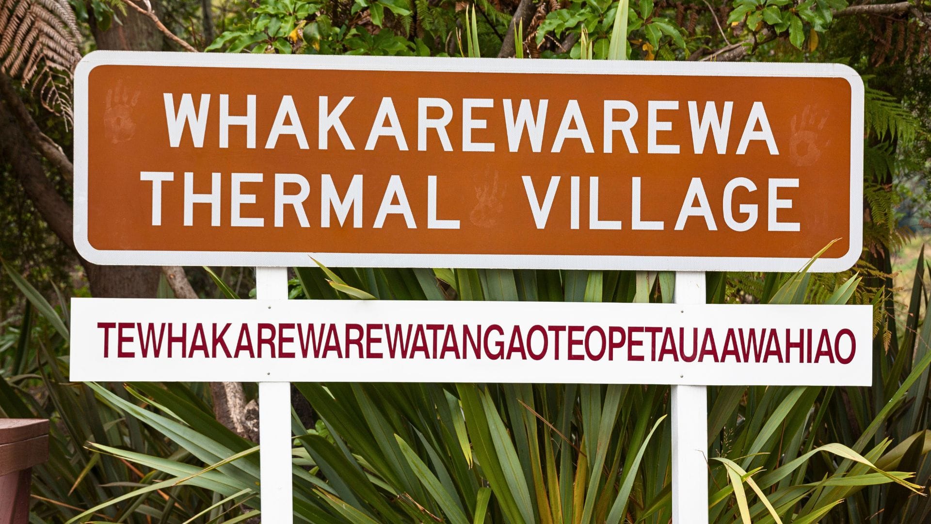 Exploring Maori Culture: Unveiling The Enduring Spirit