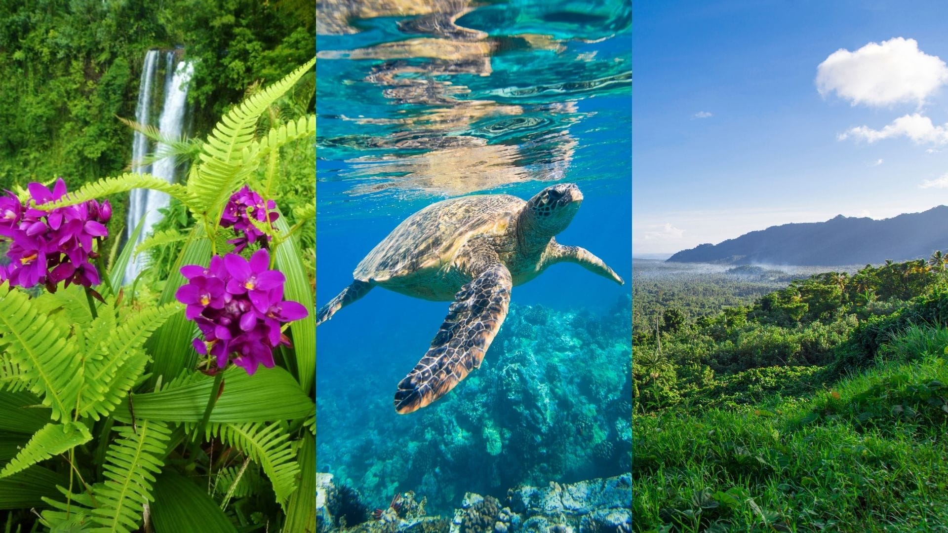 Samoa Discovering: Scouting The Hidden Paradise