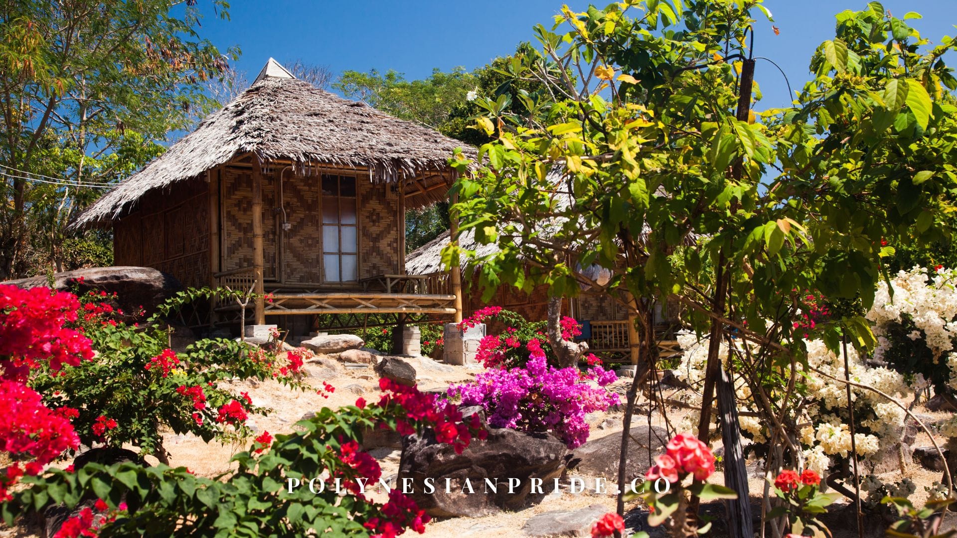 What's Samoan Culture? Local Guide Unveiling A Rich Heritage