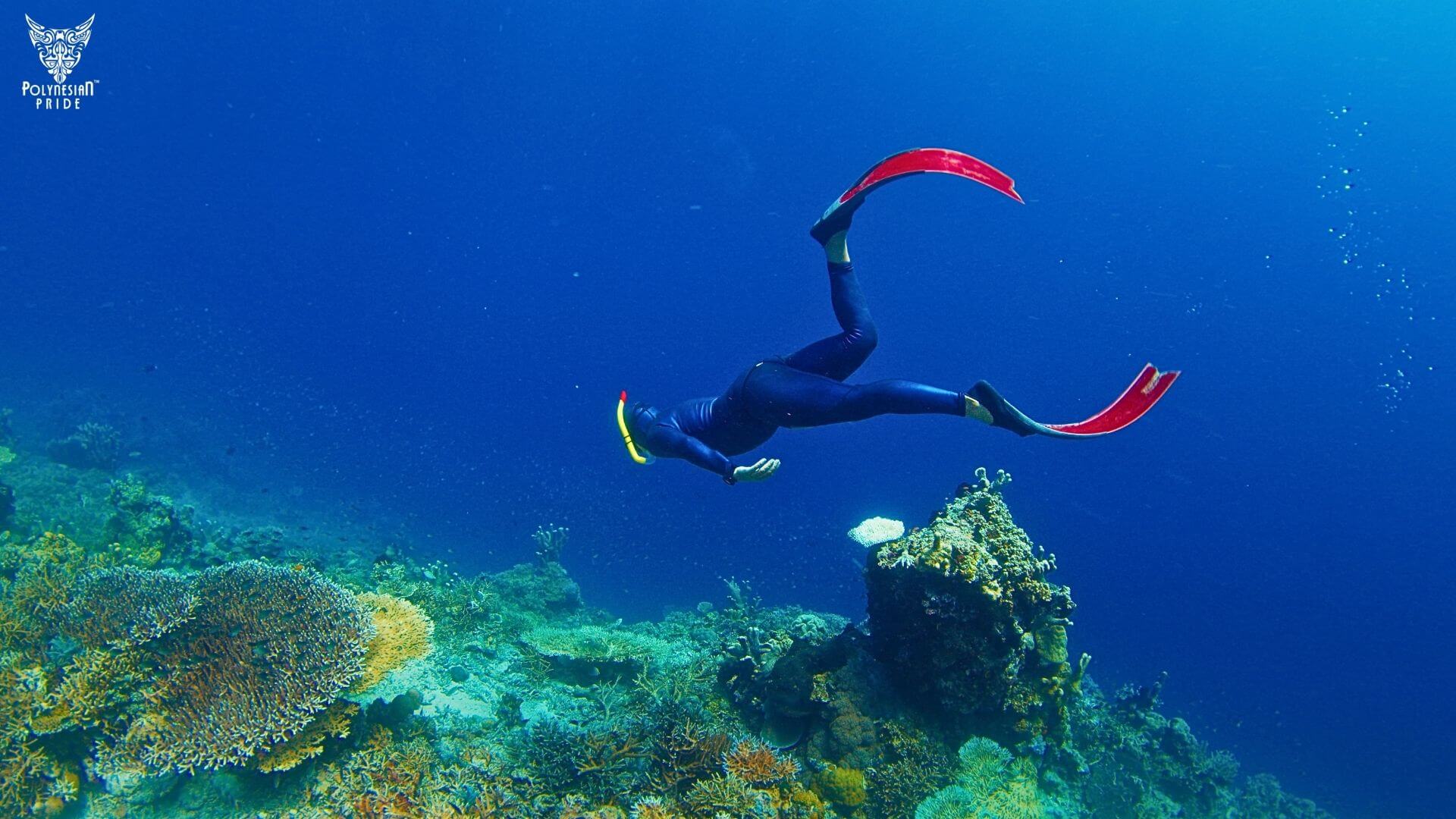 What Is Tonga Known For? Top 15 Reasons To Visit This Island