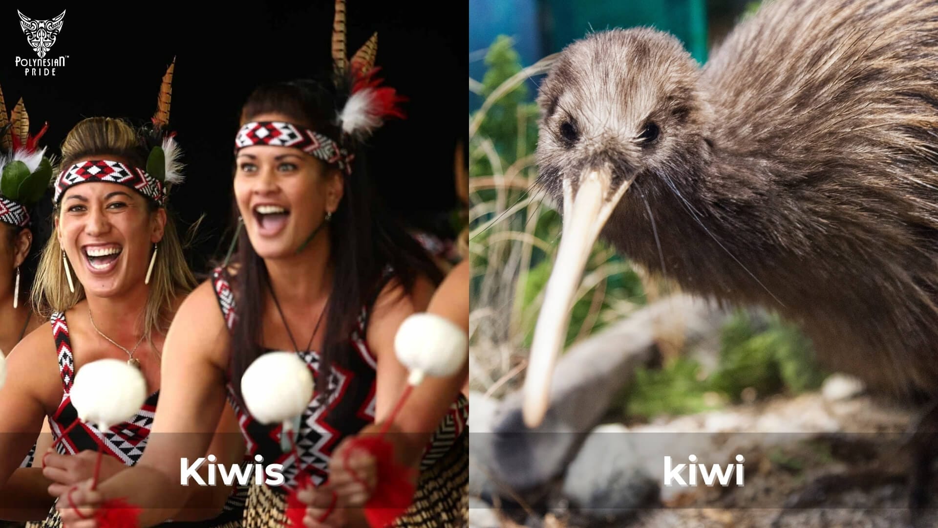 Why Are New Zealanders Called Kiwis? A Detailed Exploration